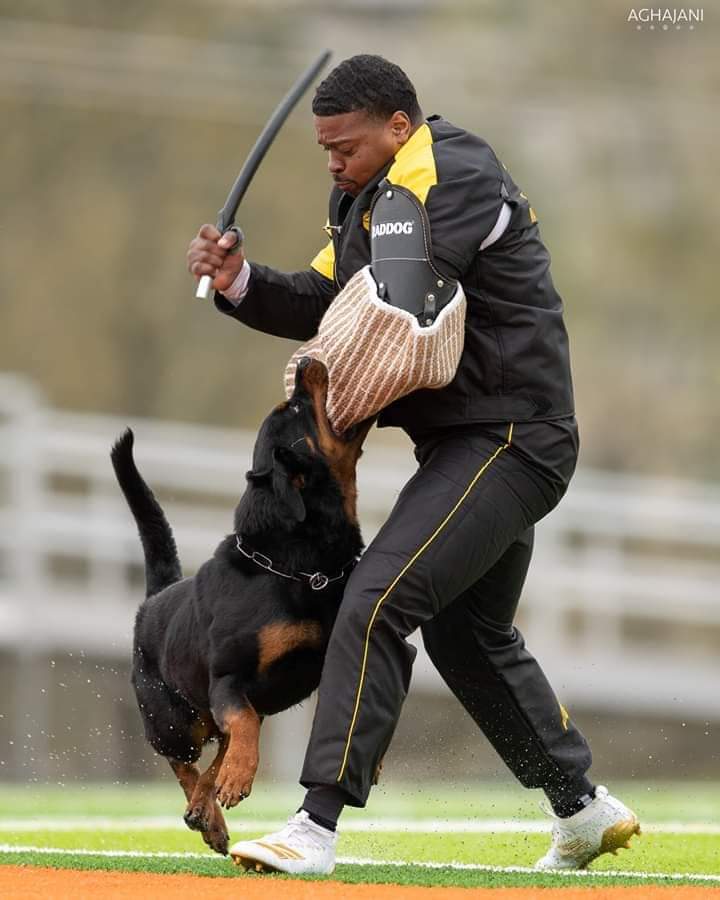 LV DVG America 2022 Championship