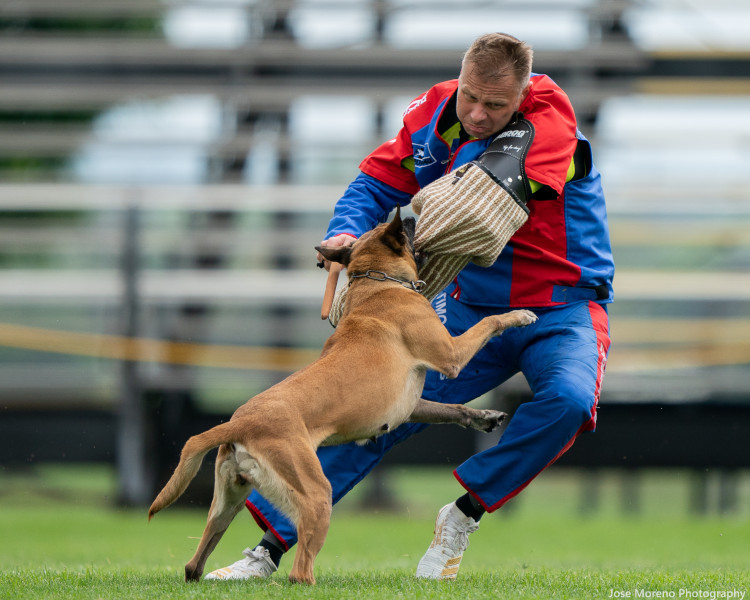 LV DVG America 2022 Championship