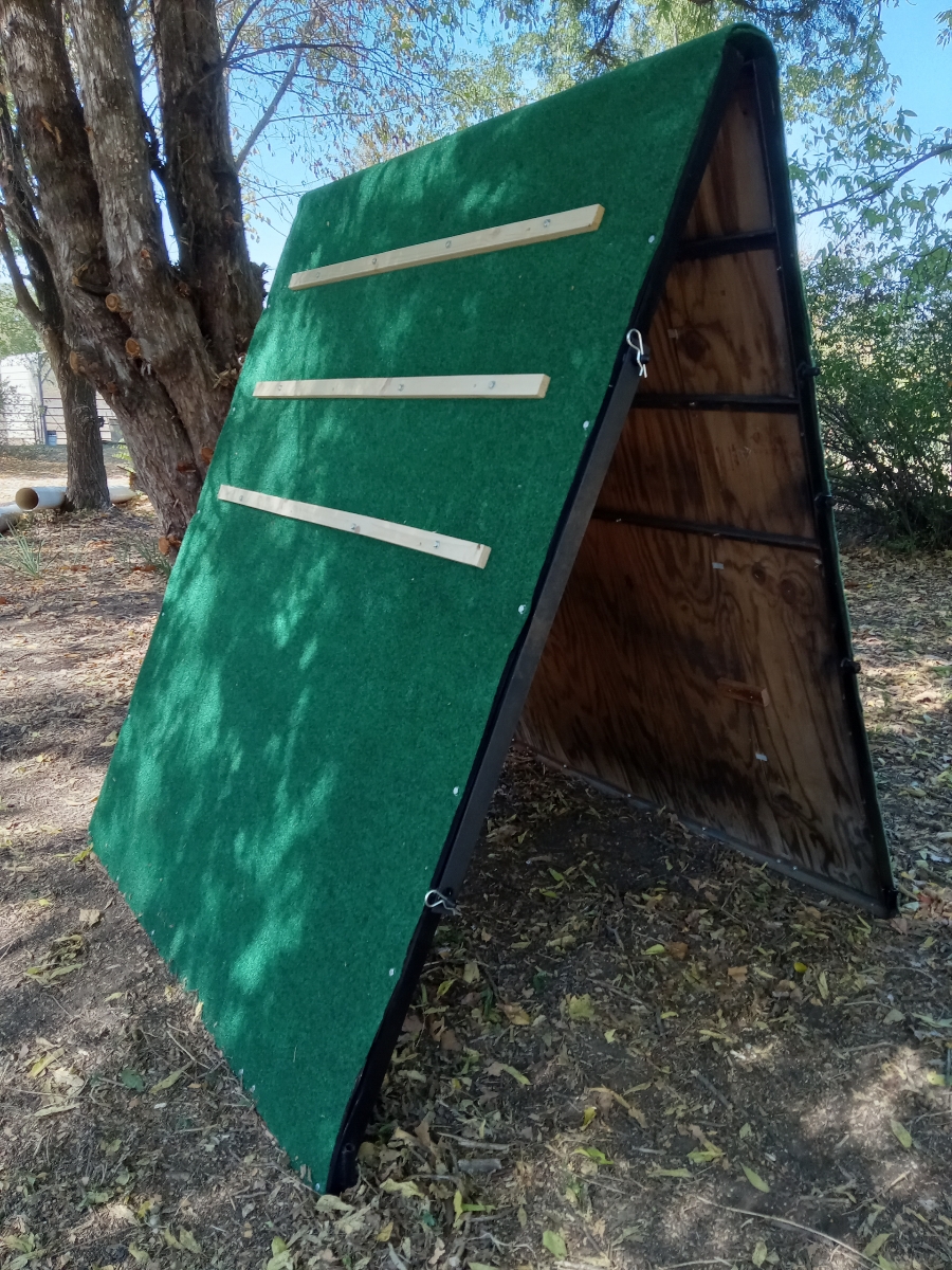 LV DVG America 2022 Championship