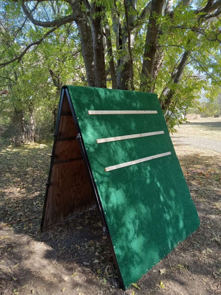 LV DVG America 2022 Championship